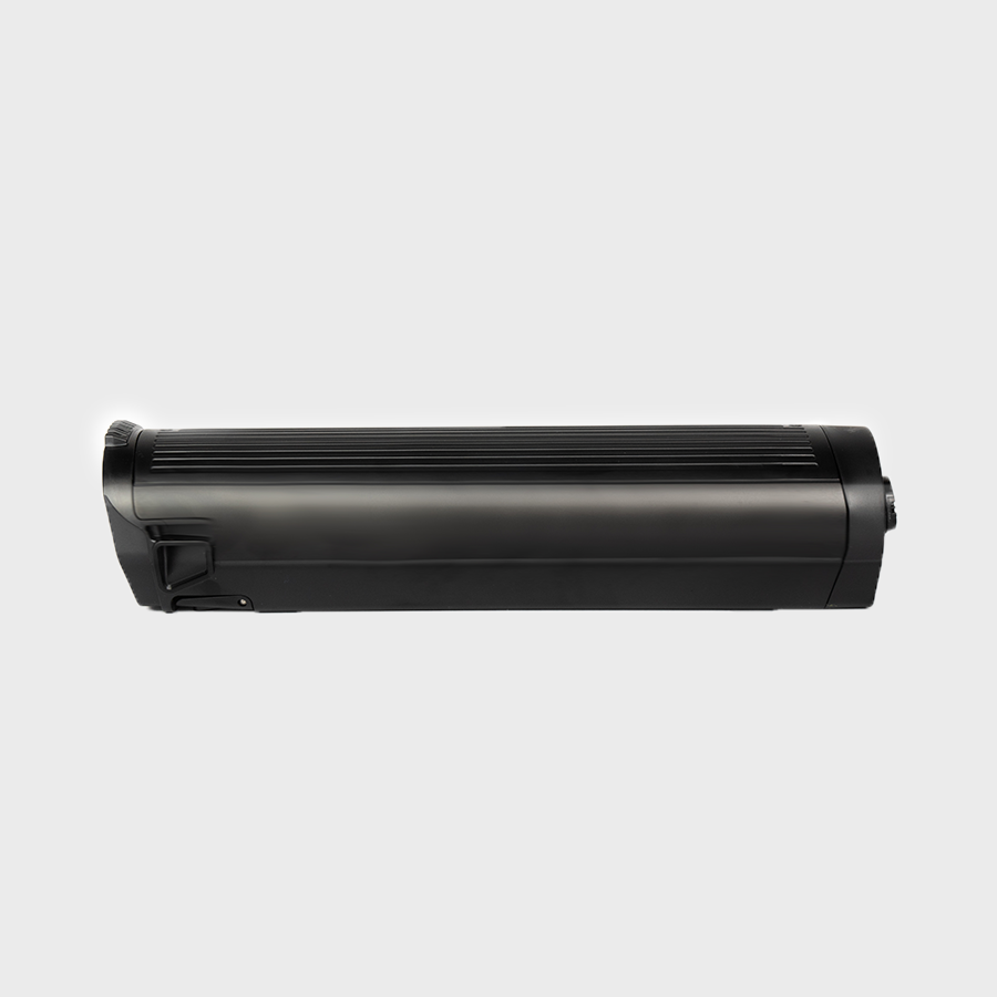 Fazua battery store